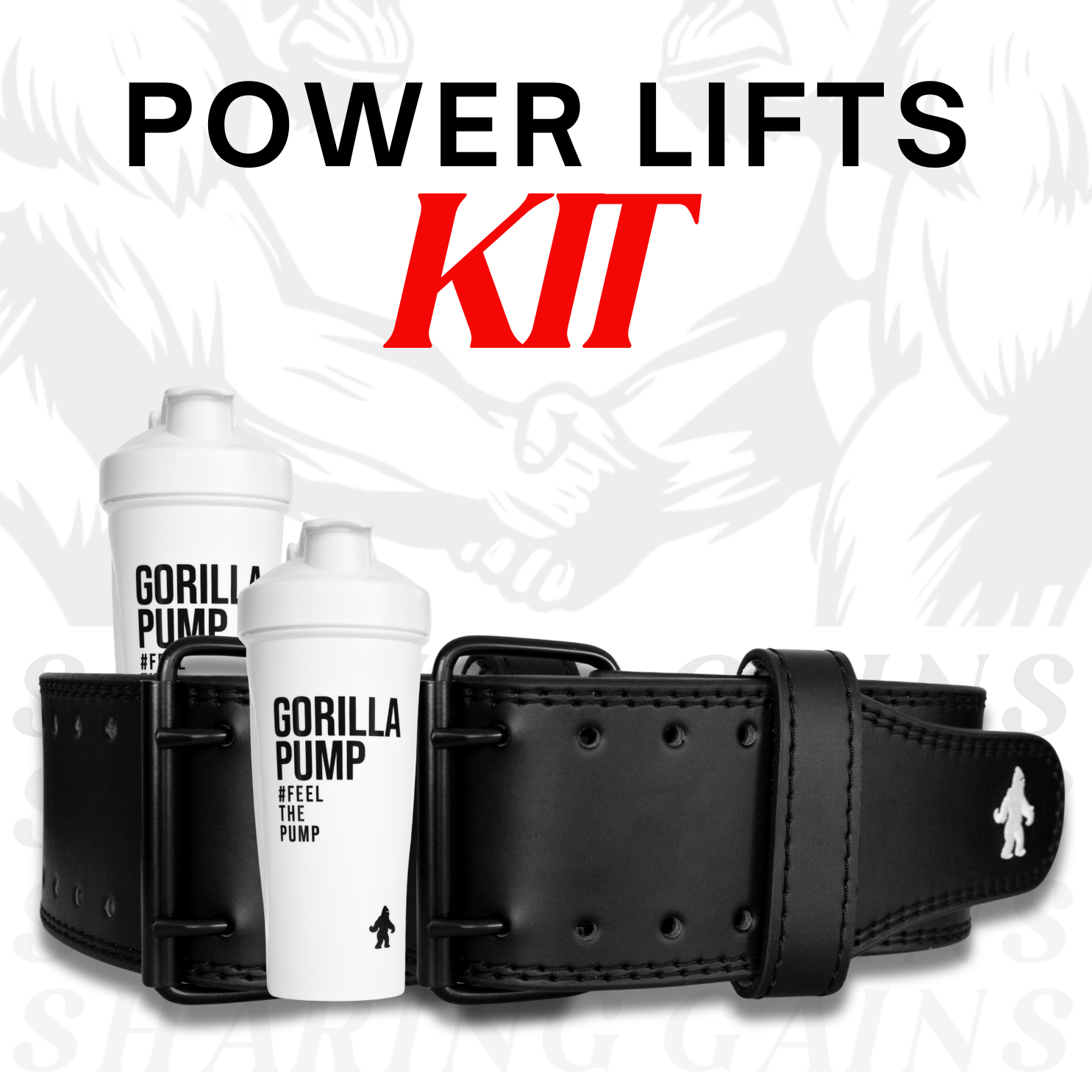 POWER LIFTS KIT – Gorilla Pump